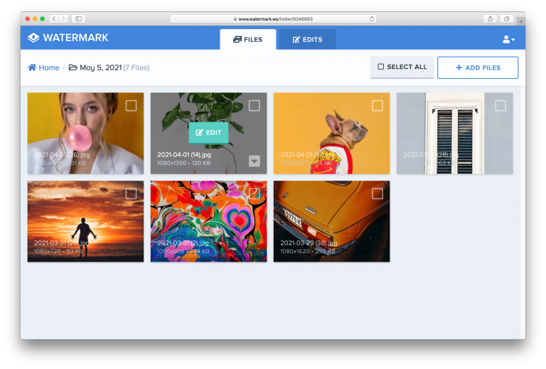 Getting Started with Watermarking - Watermark.ws Blog