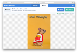 Getting Started with Watermarking - Watermark.ws Blog